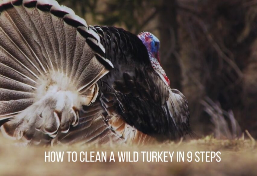 Bow Donnd - Hunt & Harvest