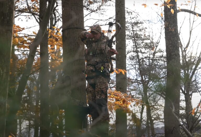Do You Need a Hunting License to Hunt on Your Own Property? The ...