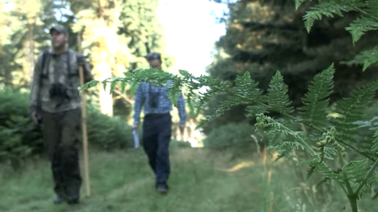 Do You Need a Hunting License to Hunt on Your Own Property? The ...