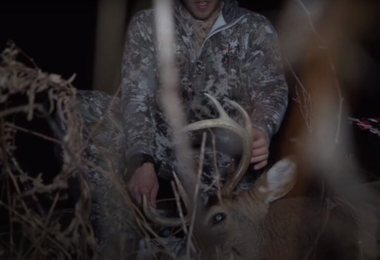 What Group Sets Hunting Regulations in Most States? - A Guide to State ...